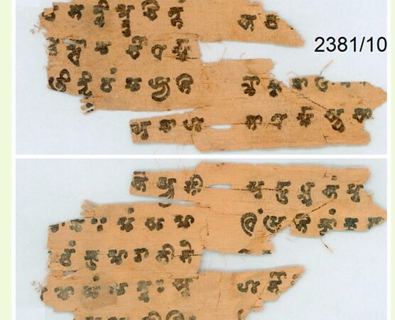 Dhammachai International Research Institute - DIRI